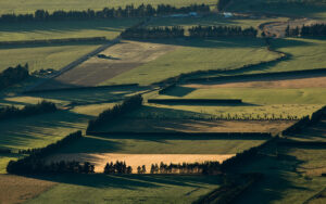 RSM Law - SPF Creative